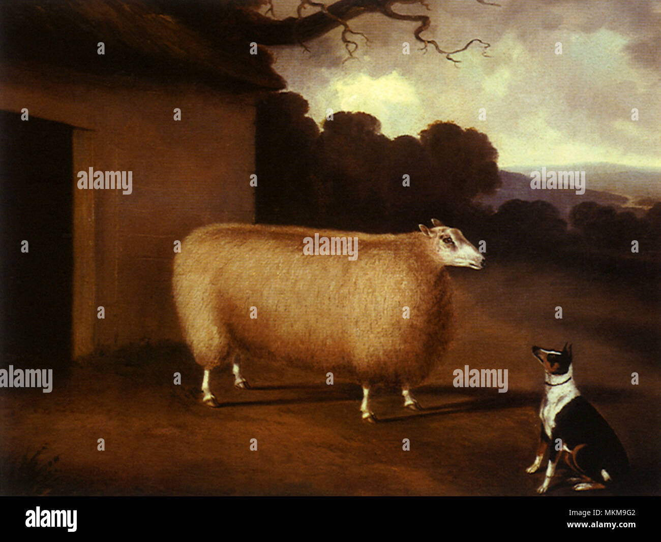 Sheep and Dog Stock Photo - Alamy