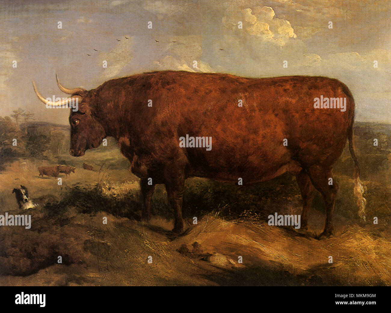 Devon fine art hi-res stock photography and images - Alamy