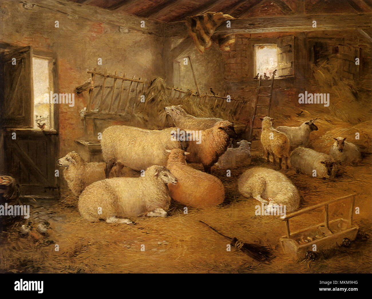 Sheep in a Barn Stock Photo - Alamy