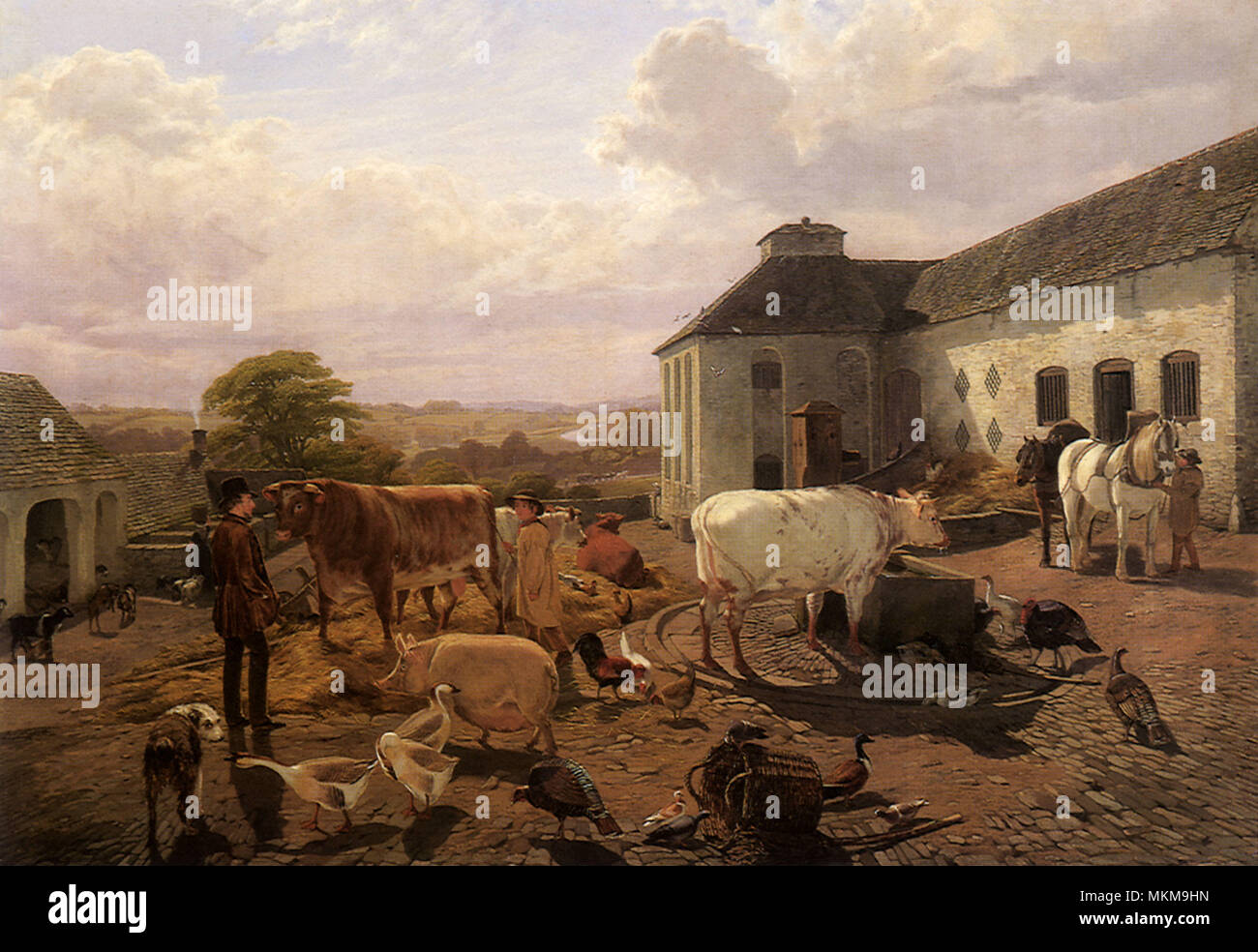 Barnyard Scenes High Resolution Stock Photography and Images - Alamy