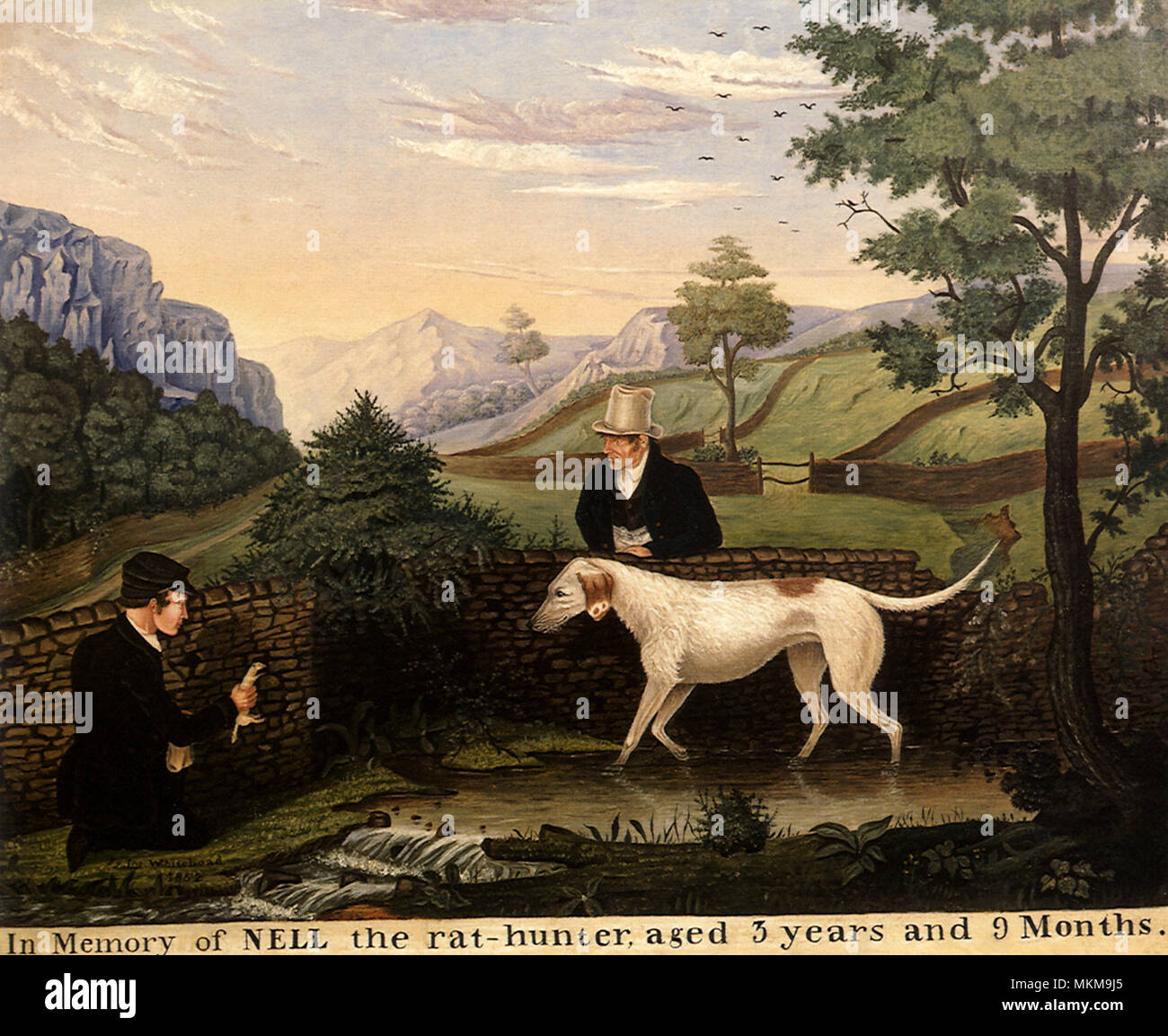 Man with dog and rat hi-res stock photography and images - Alamy