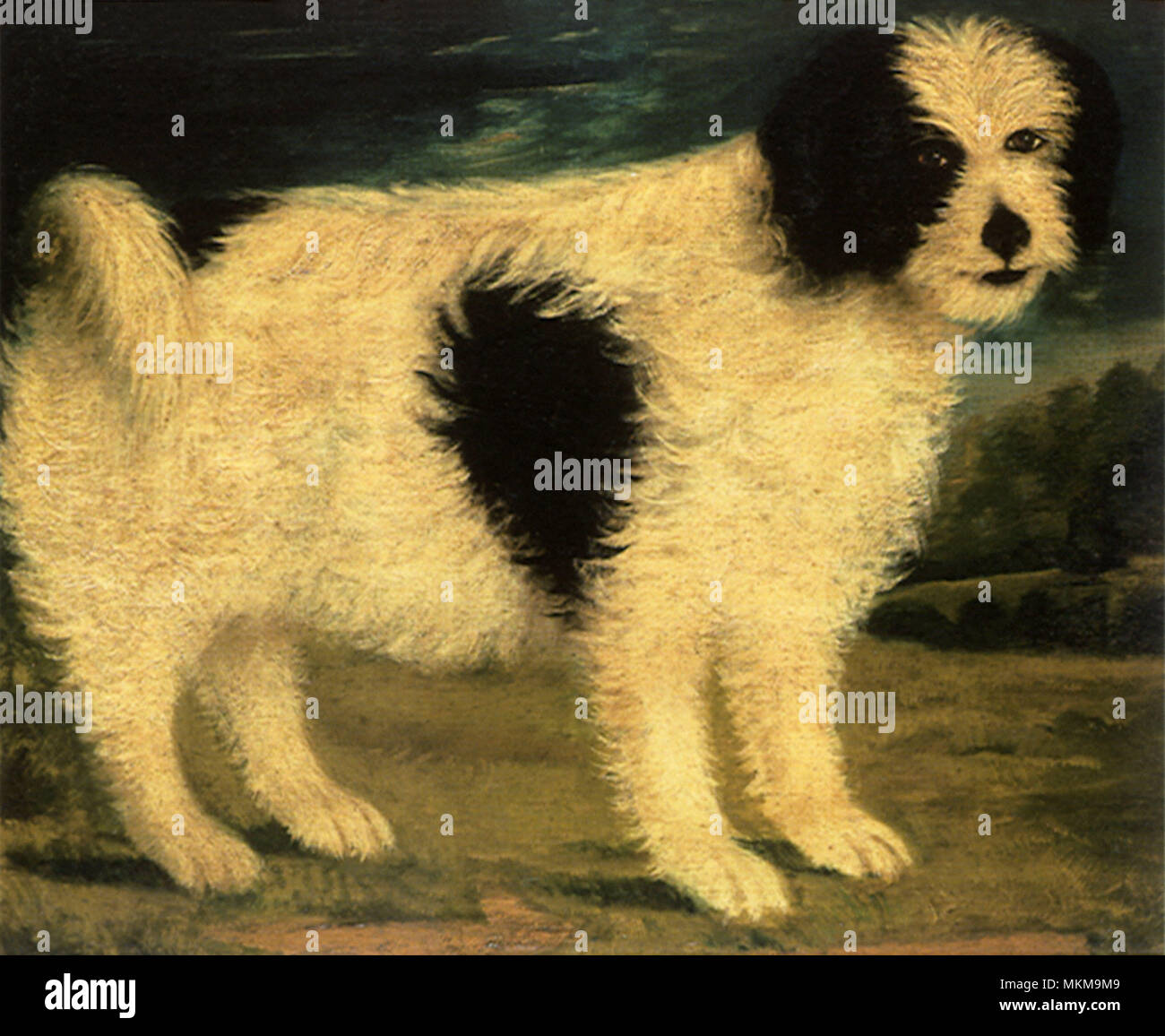 Sheepdog illustration hi-res stock photography and images - Alamy