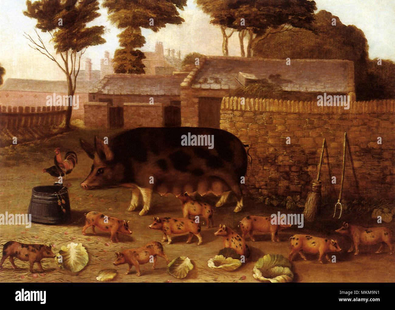 Tamworth cross pigs hi-res stock photography and images - Alamy