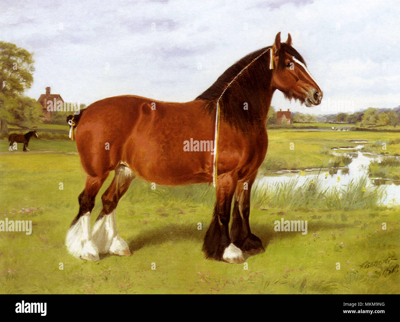 Miss illustration hi-res stock photography and images - Alamy