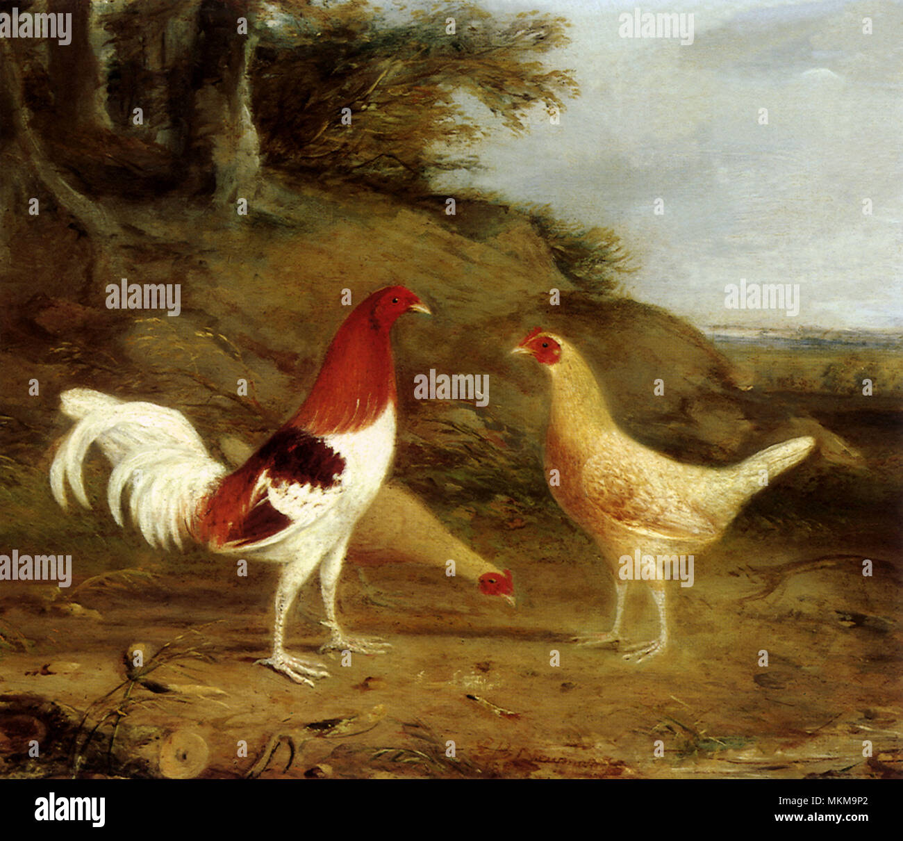 Old English Game Birds Pile Stock Photo - Alamy