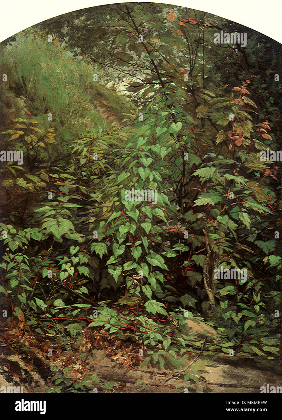 Overgrown overgrown hi-res stock photography and images - Alamy