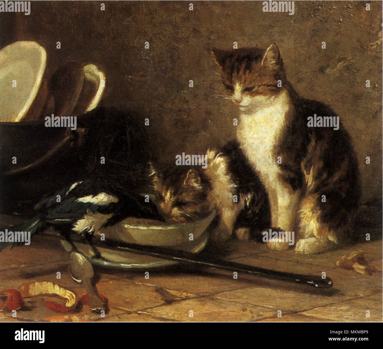 Cat, Kitten and Bird Stock Photo - Alamy