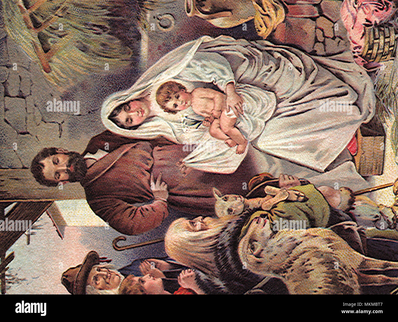 Nativity sheep hi-res stock photography and images - Alamy