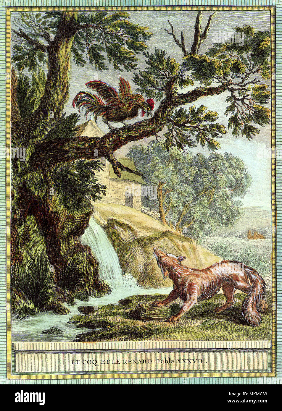 Rooster and fox hi-res stock photography and images - Alamy