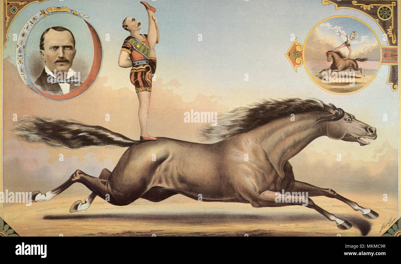 Circus Rider High Resolution Stock Photography and Images - Alamy