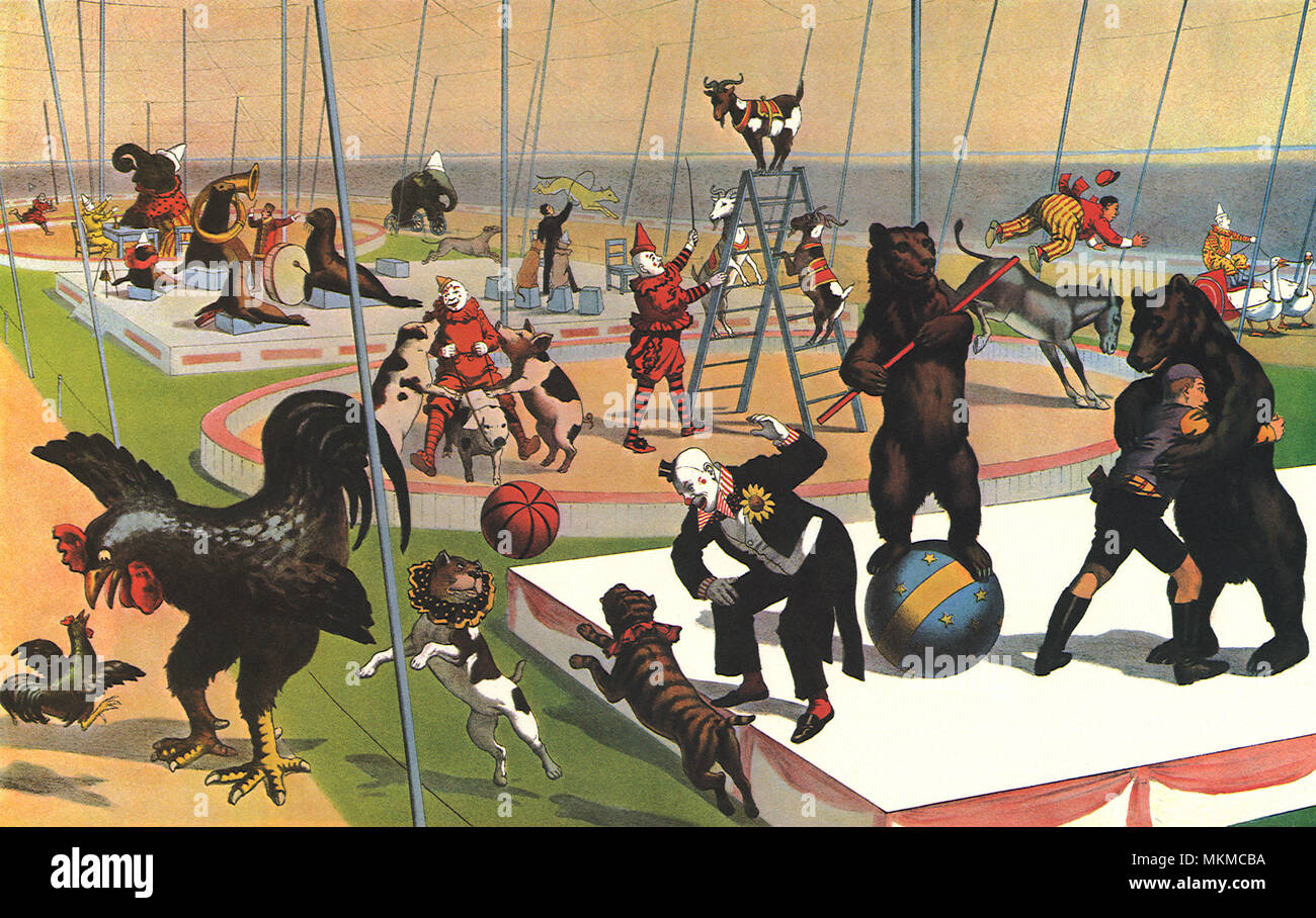 Circus Animal Acts