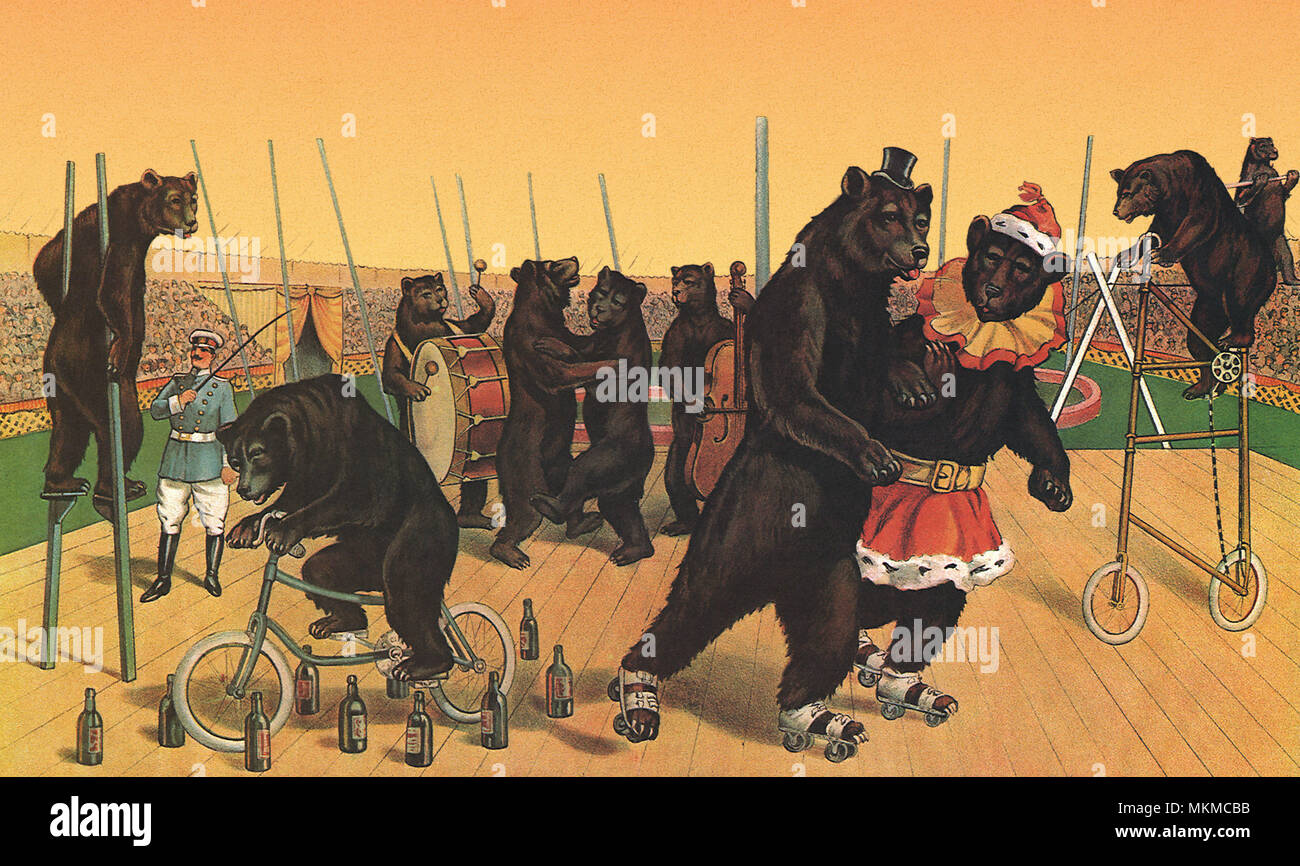 Circus bears hi-res stock photography and images - Alamy