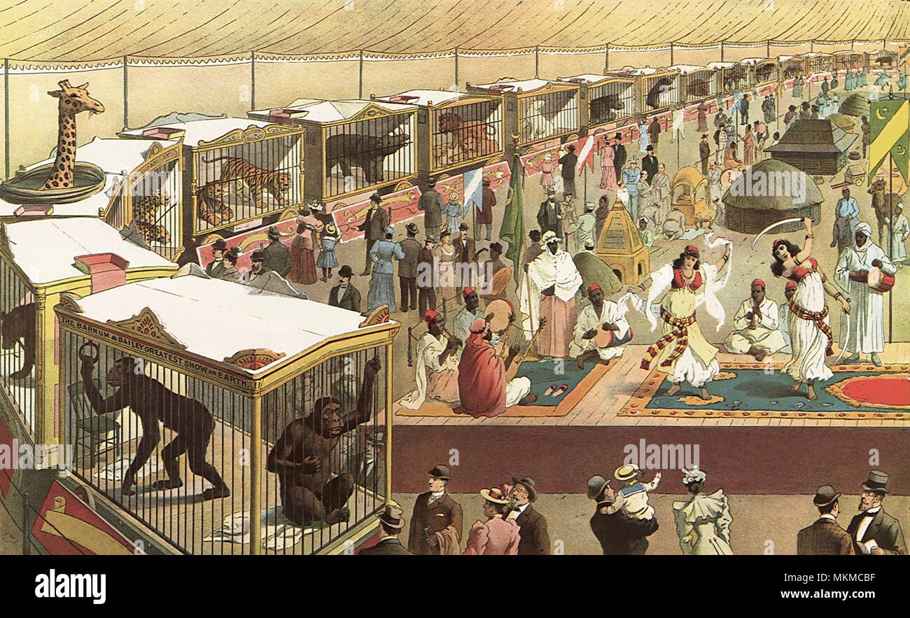 Exotic Animals and People Stock Photo - Alamy