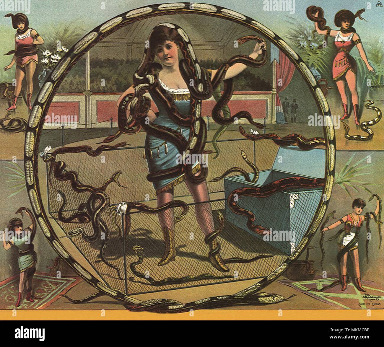 Circus snakes snake hi-res stock photography and images - Alamy