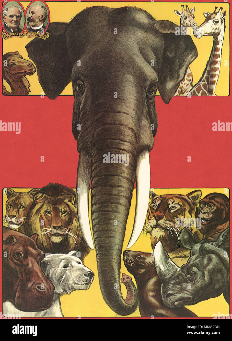 Vintage circus animals hi-res stock photography and images - Alamy