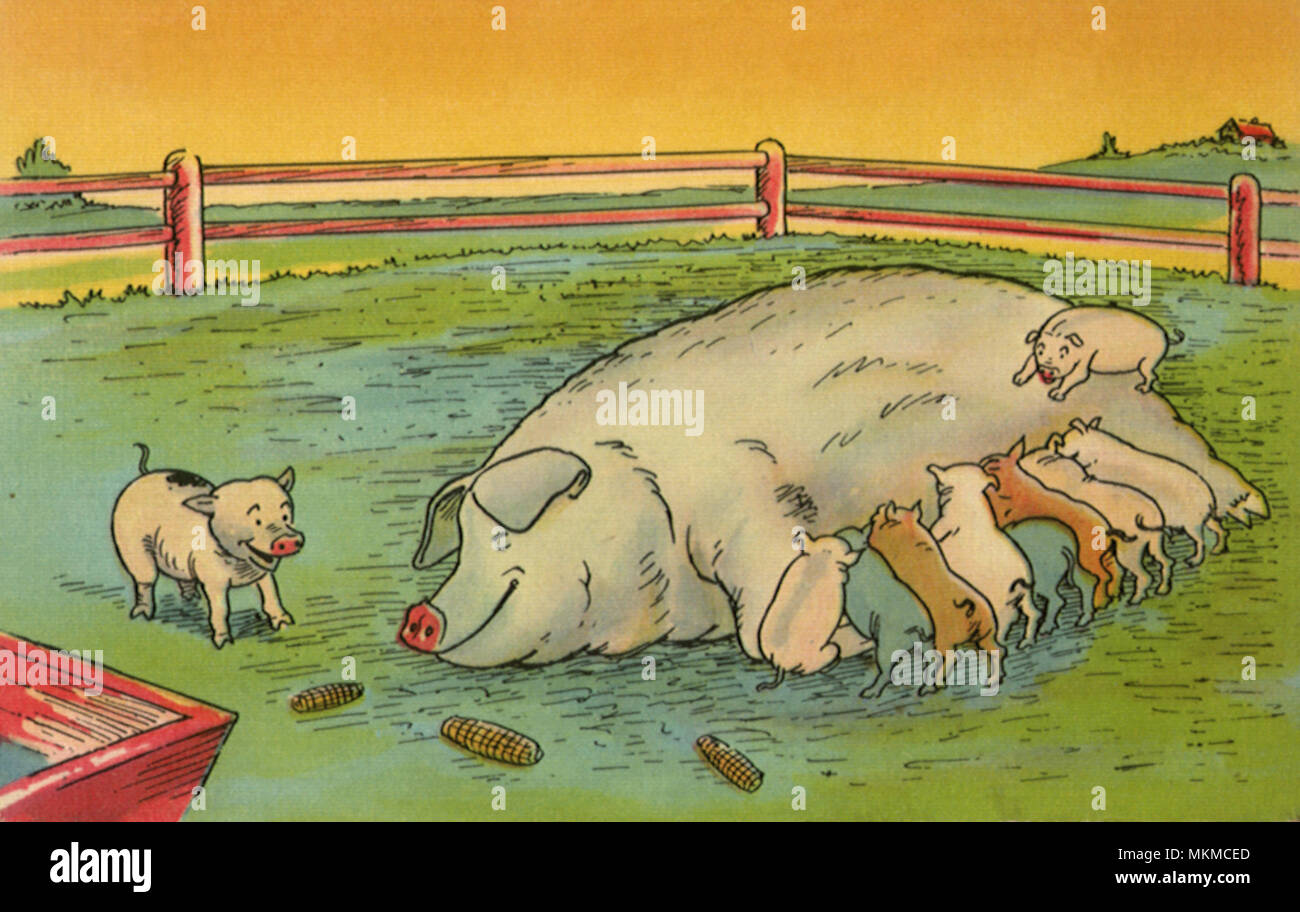 Comedy Pig Stock Photos & Comedy Pig Stock Images - Alamy