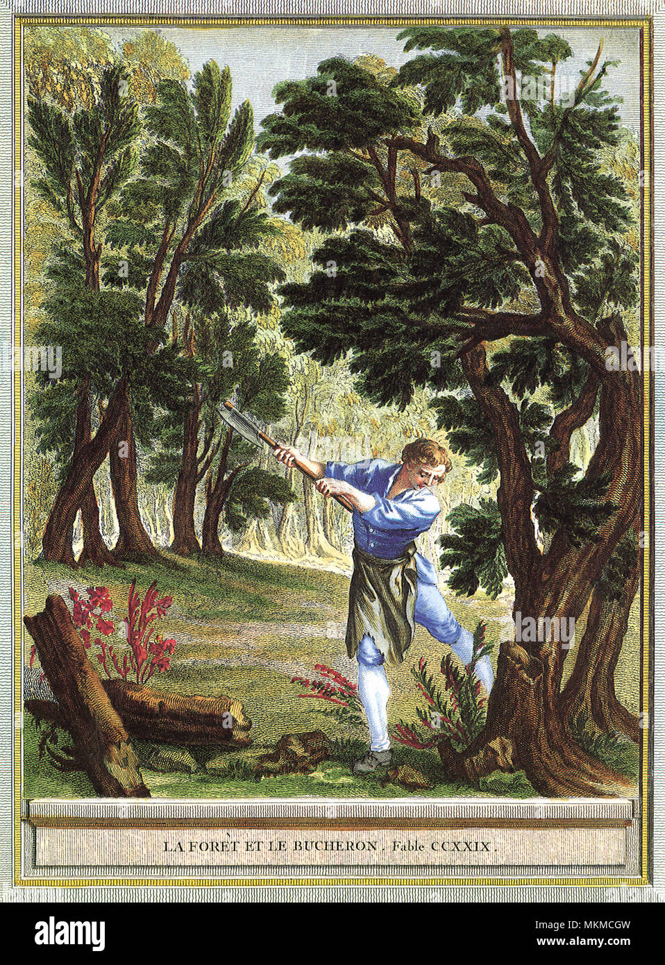 Man Axing Tree Stock Photo - Alamy