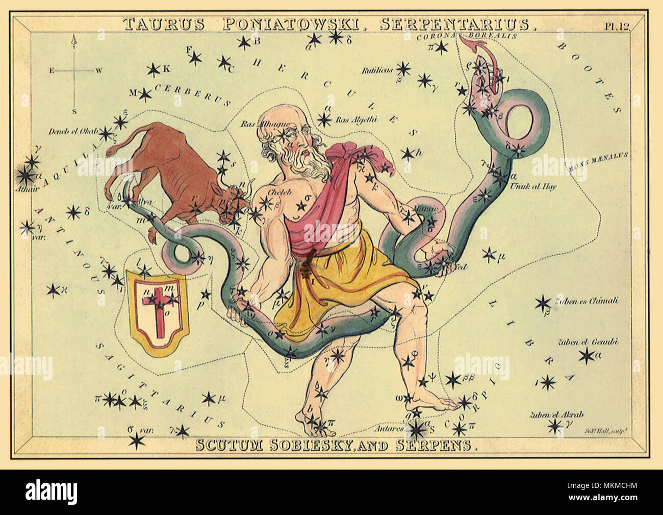 Bull with Man and Snake Stock Photo - Alamy