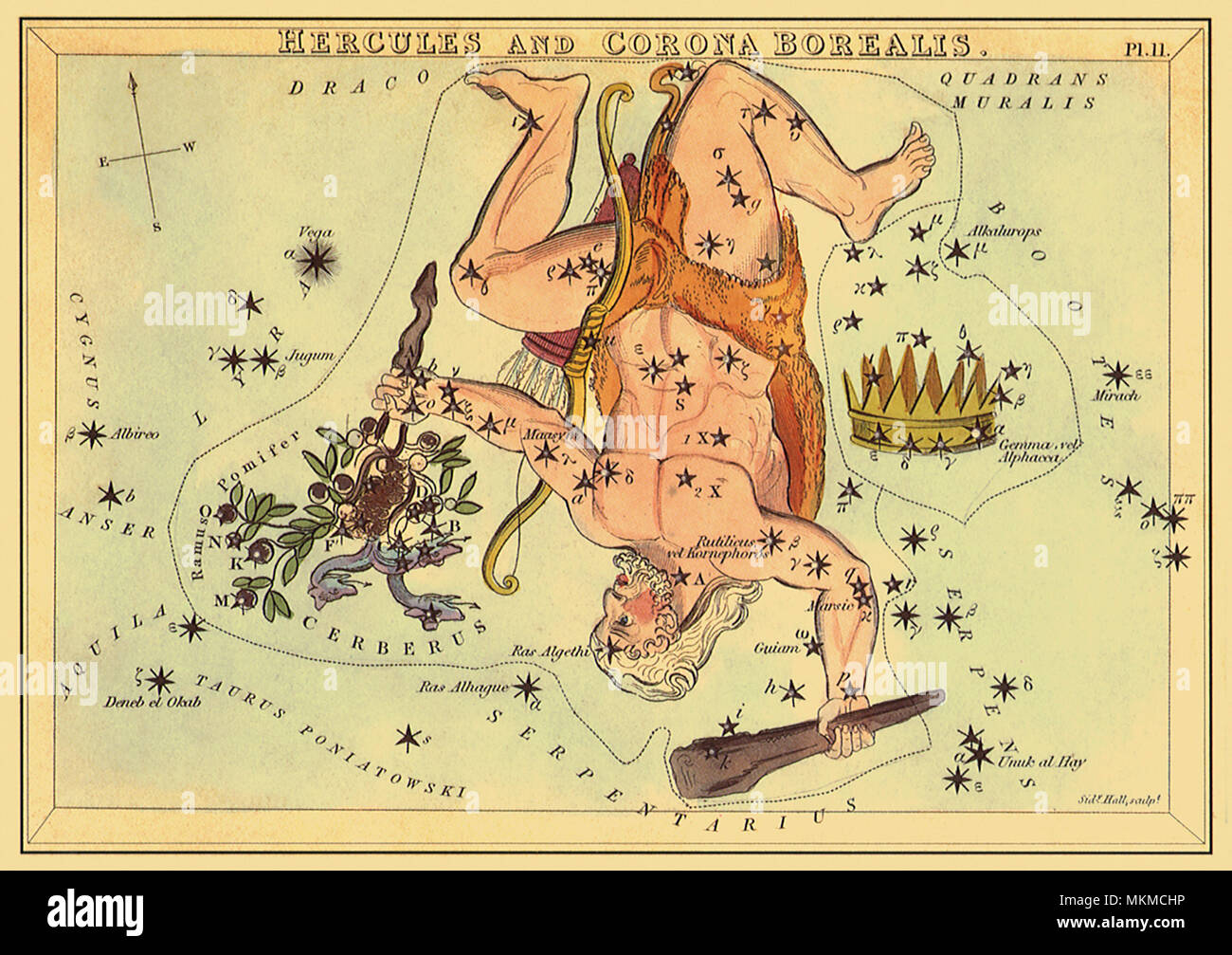 Constellation of hercules hi-res stock photography and images - Alamy