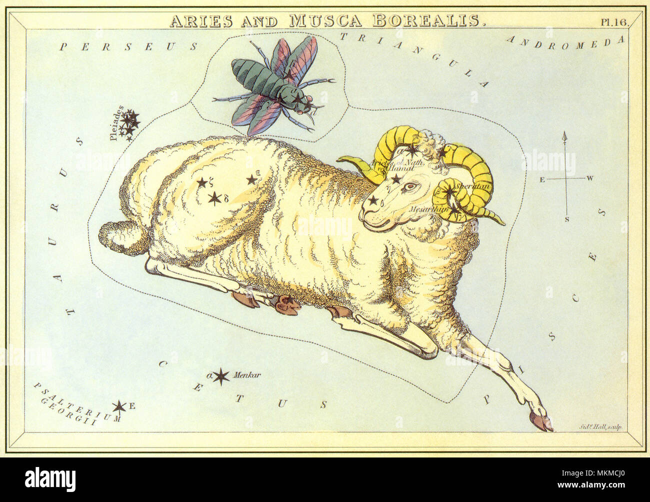 Aries constellation map hi-res stock photography and images - Alamy