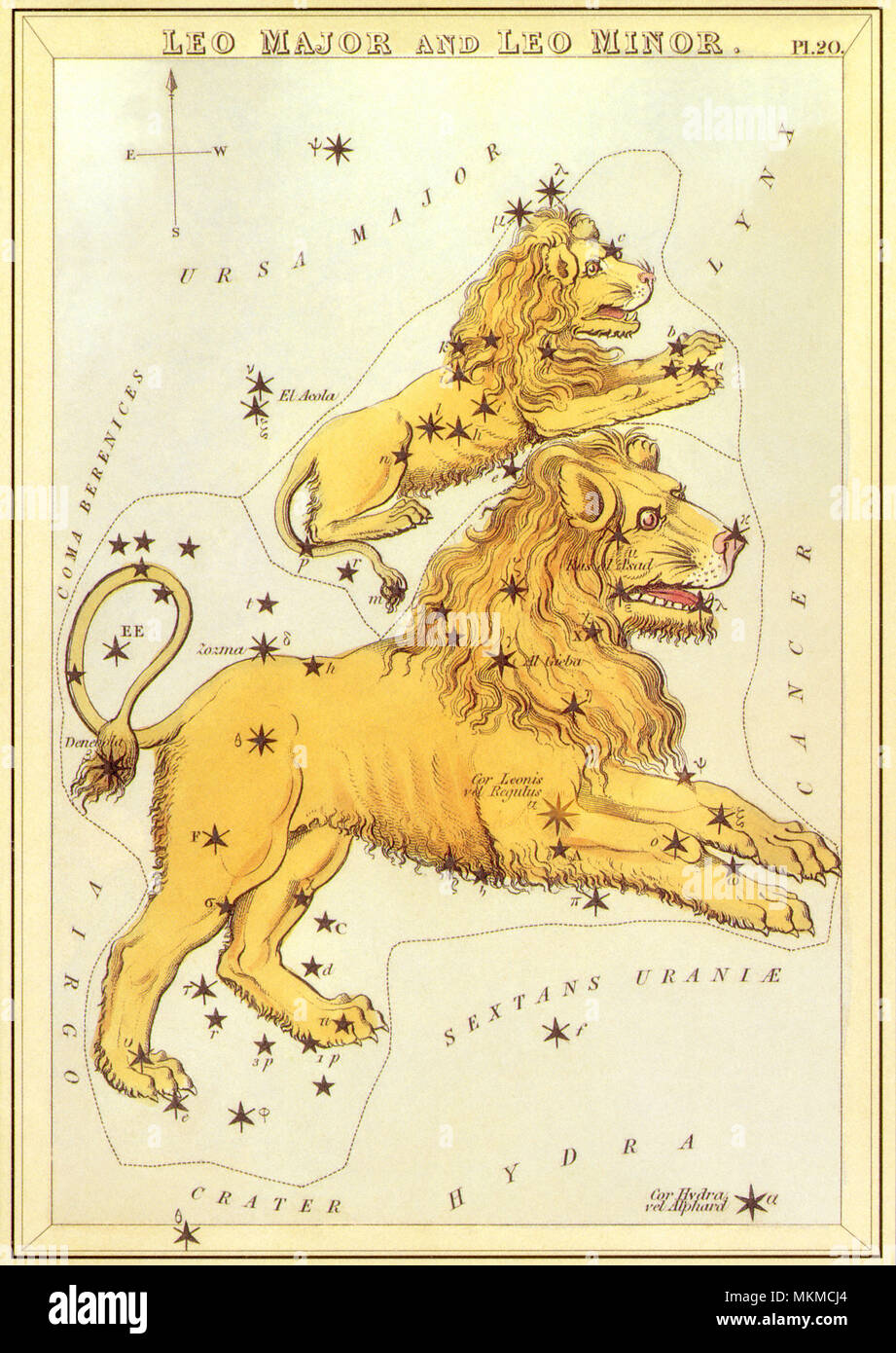 Leo Major High Resolution Stock Photography and Images - Alamy