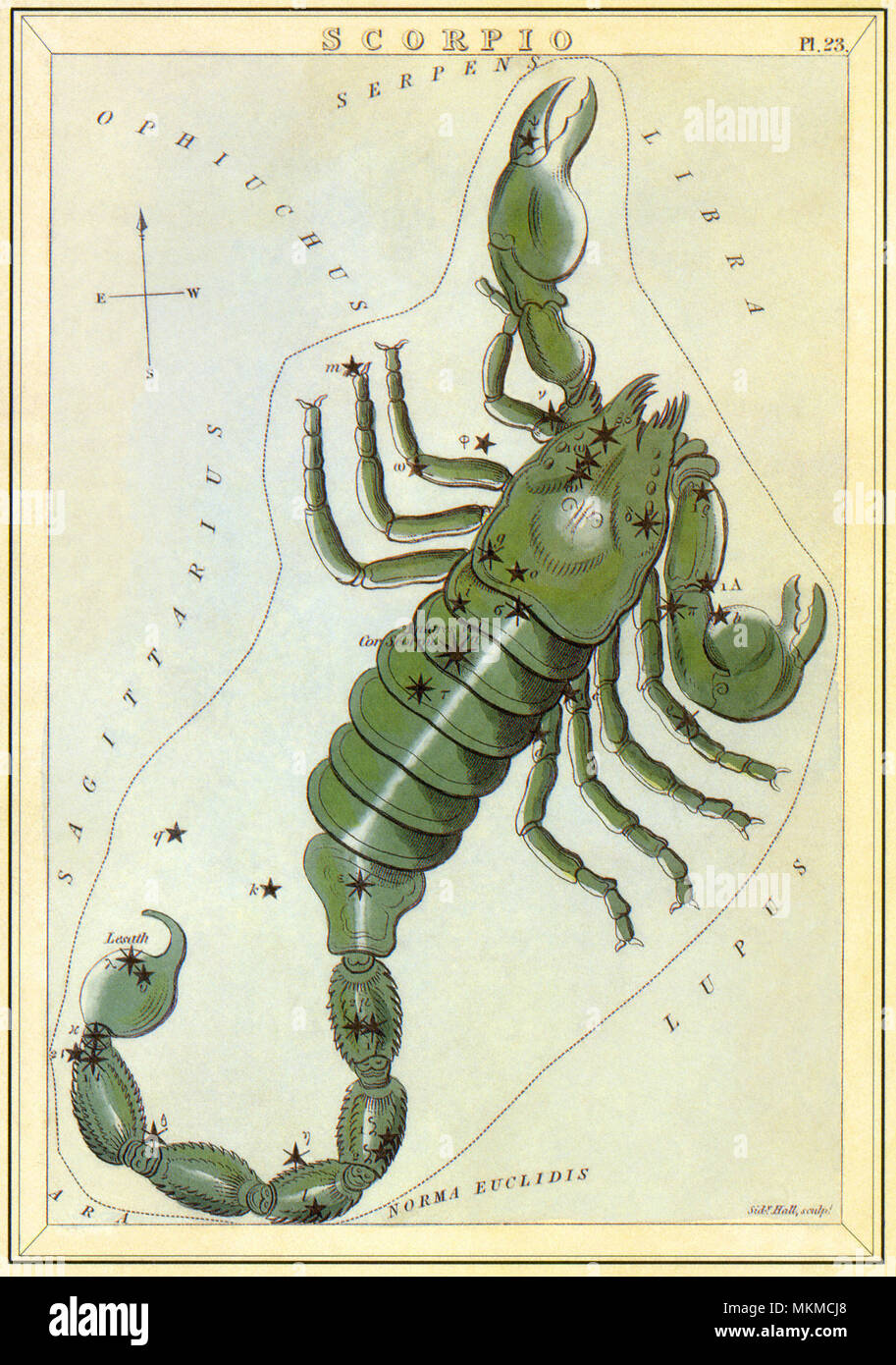 The constellation of scorpion hi-res stock photography and images - Alamy