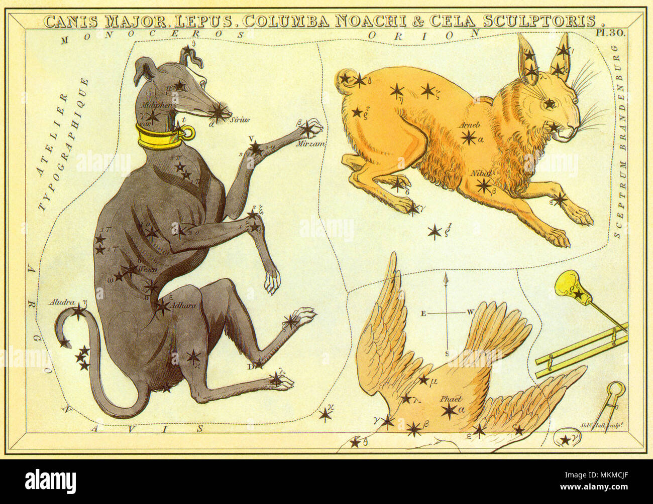 Dog, Hare and Bird withStars Stock Photo - Alamy