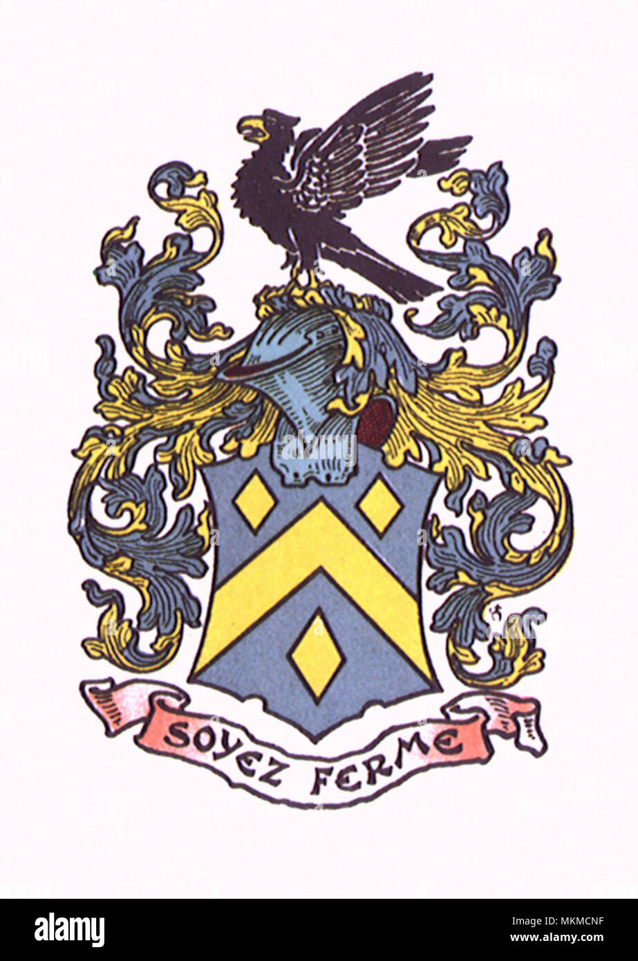 Heraldic shield hi-res stock photography and images - Alamy