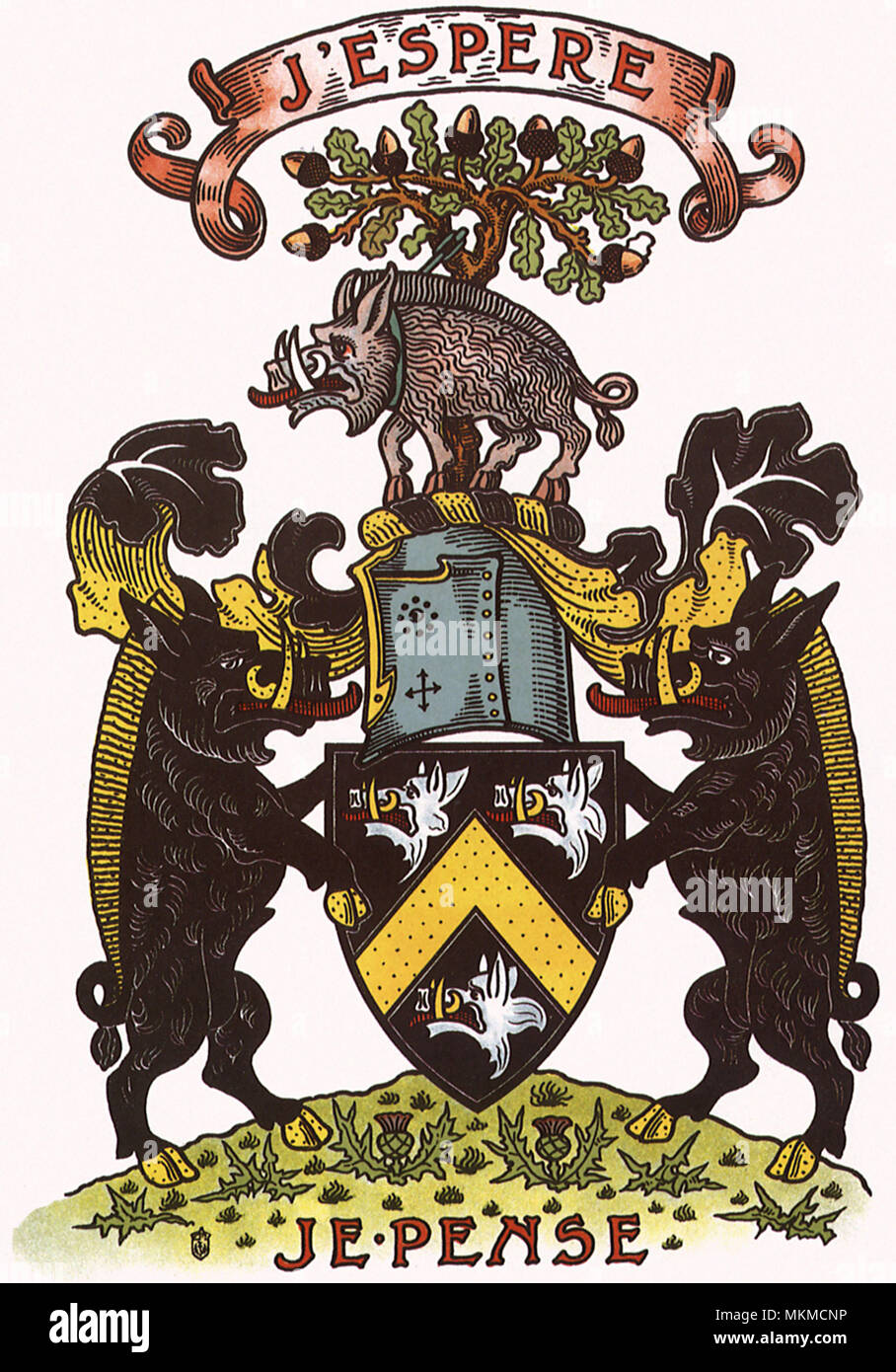 Boars on Crest Stock Photo - Alamy