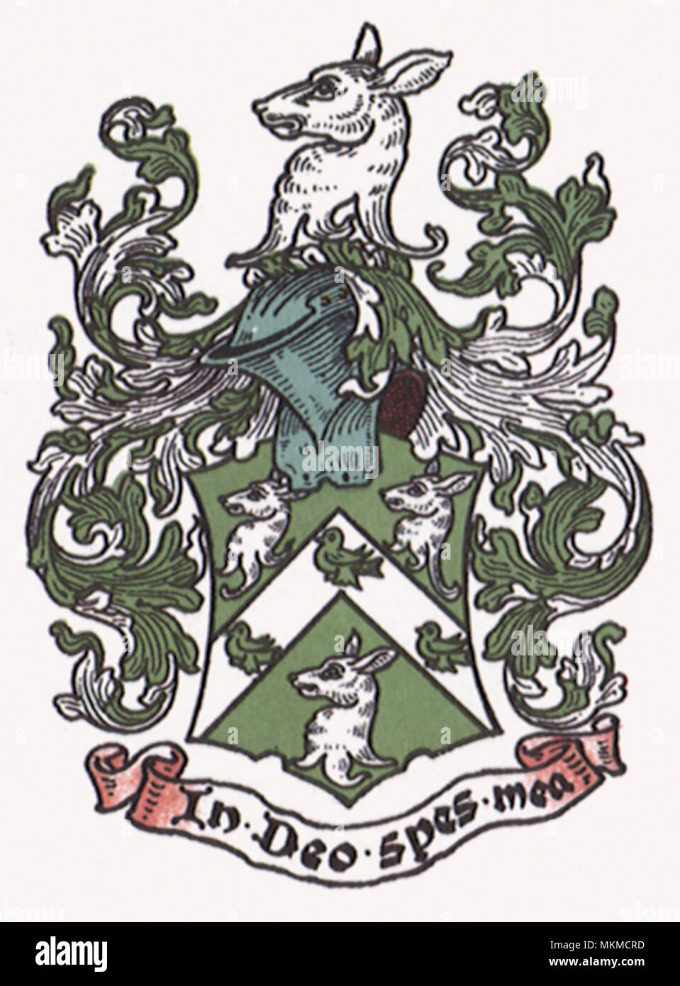 Birds with crest hi-res stock photography and images - Alamy