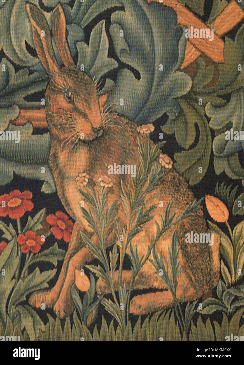 Classic hare hi-res stock photography and images - Alamy