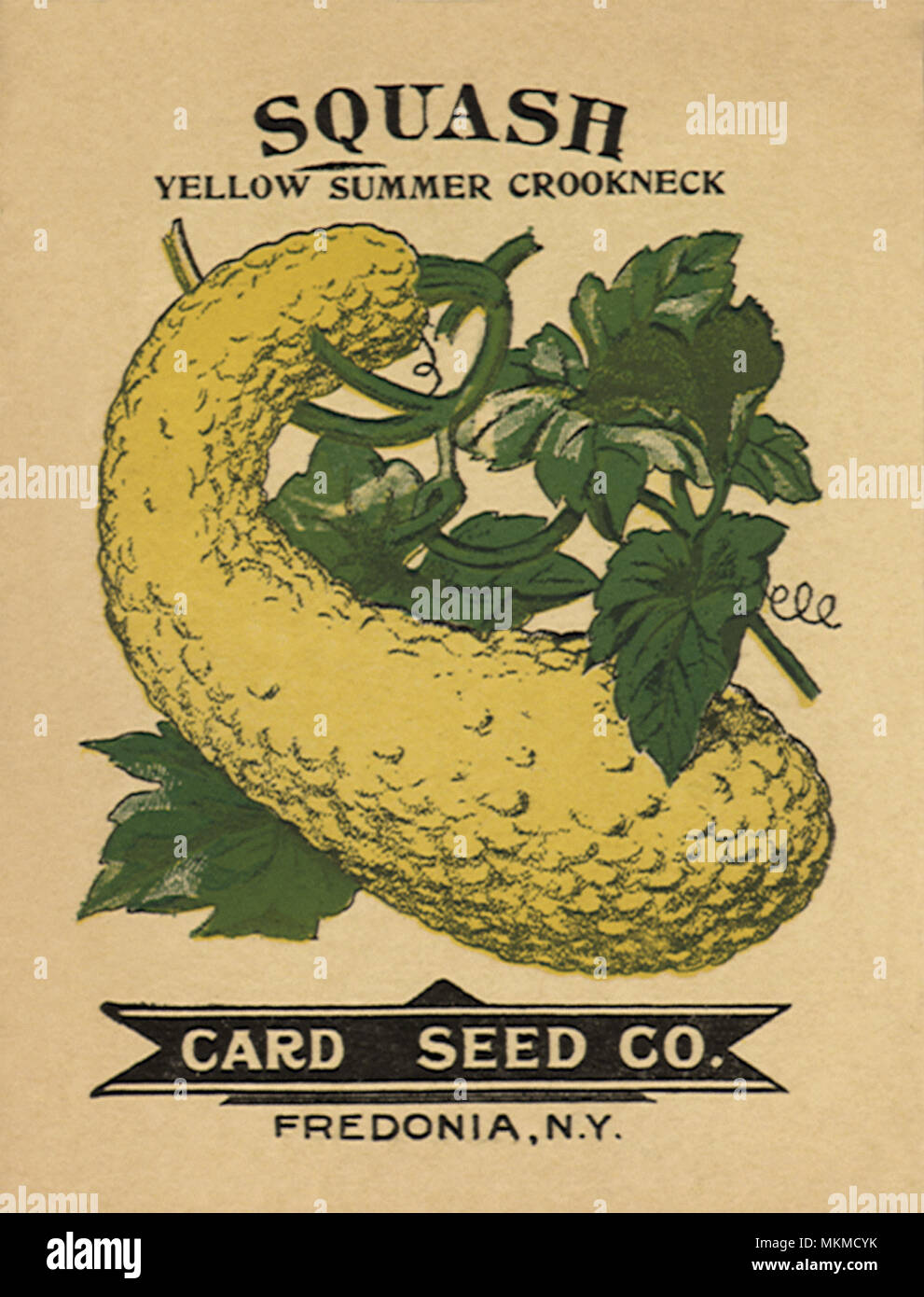 Seed Packet Plant Label High Resolution Stock Photography and Images ...