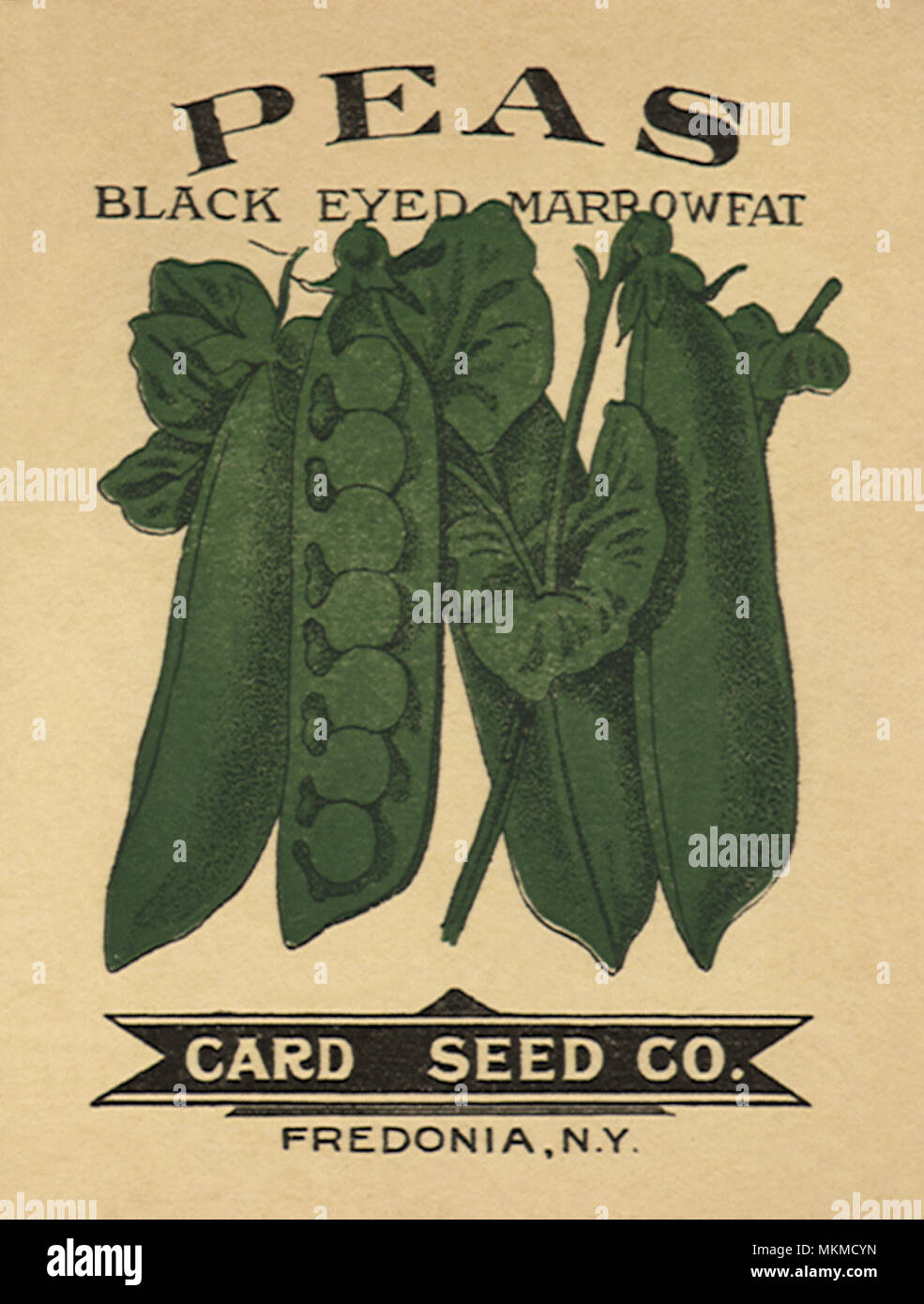 Peas Seed Packet Stock Photo - Alamy