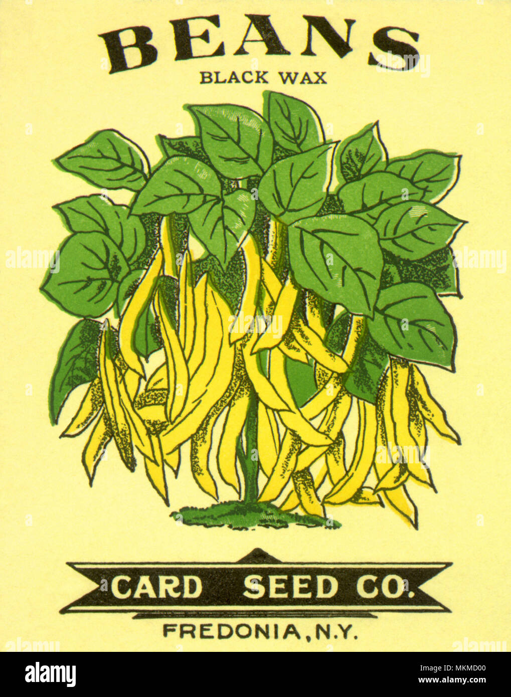 Beans Seed Packet Stock Photo - Alamy