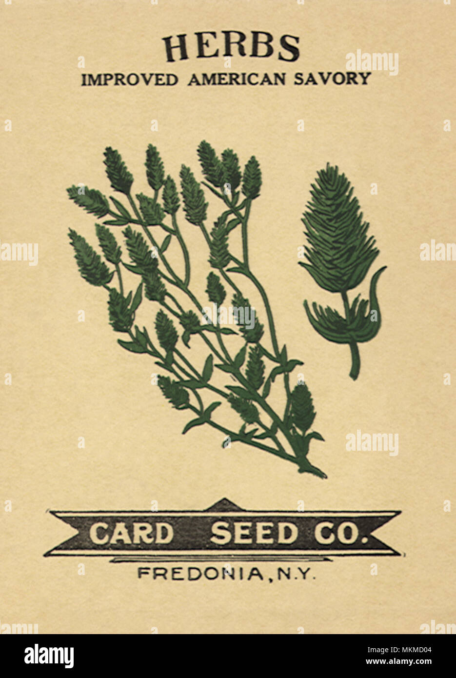 Savory Seed Packet Stock Photo - Alamy