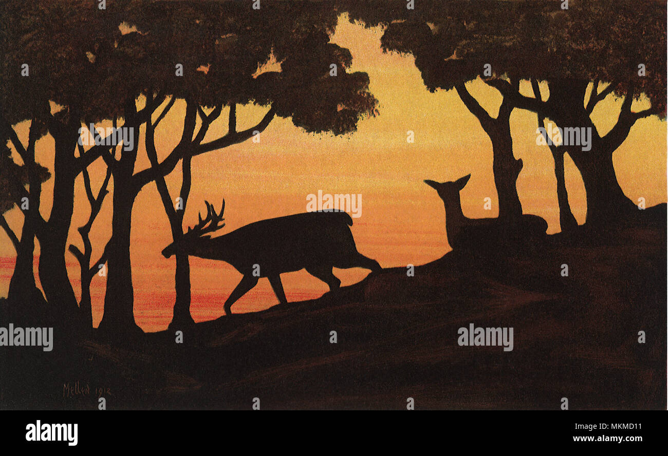 Deer at Dusk Stock Photo - Alamy