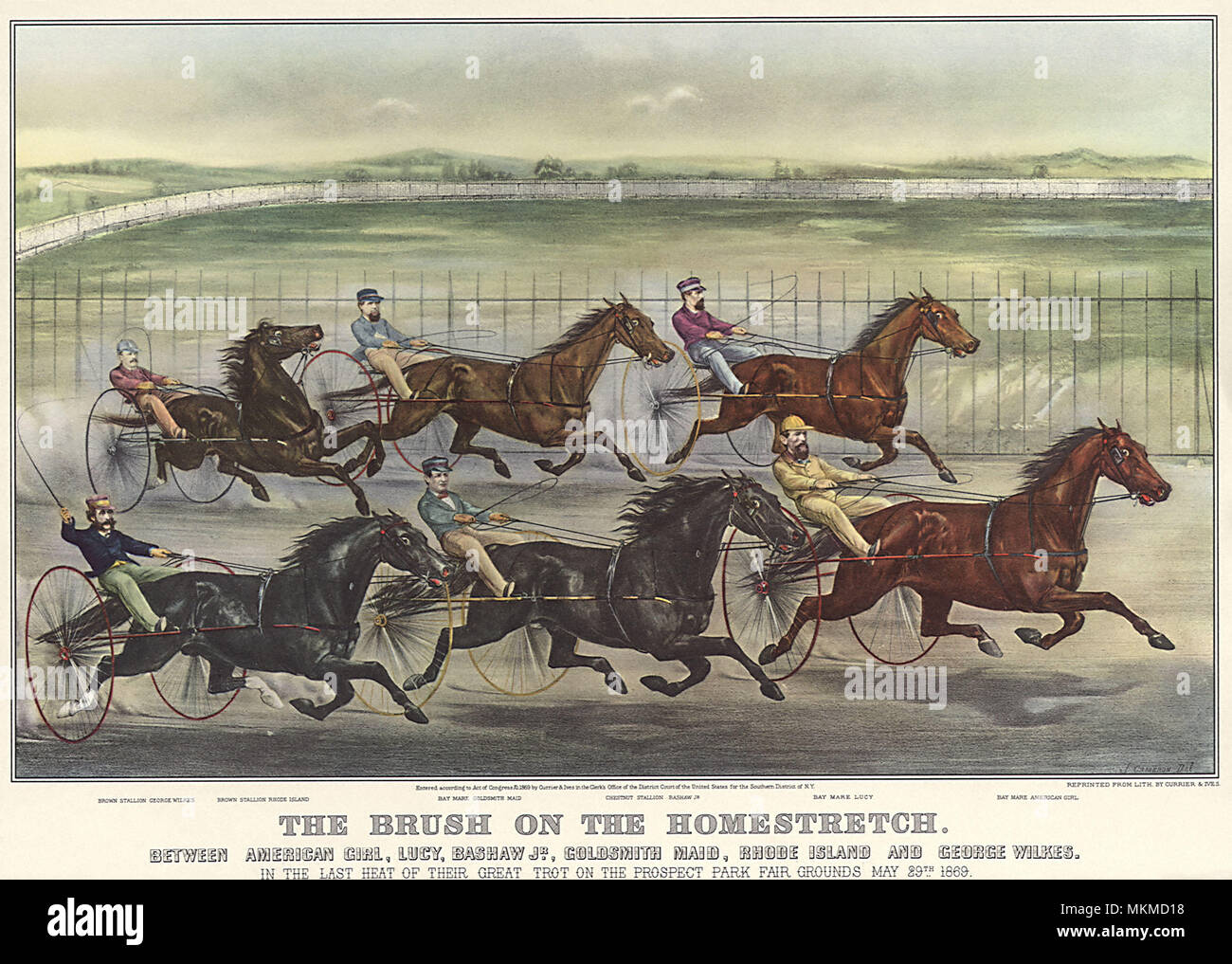 Six Harness Racers Stock Photo - Alamy