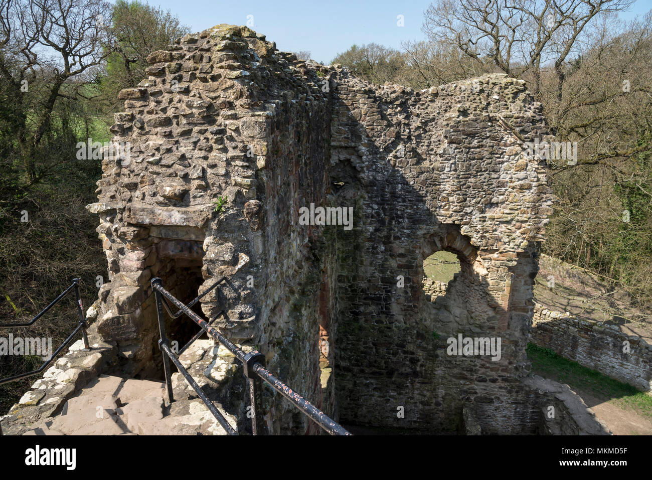 Ruins of Ewloe castle in North Wales. 13th century native Welsh castle ...