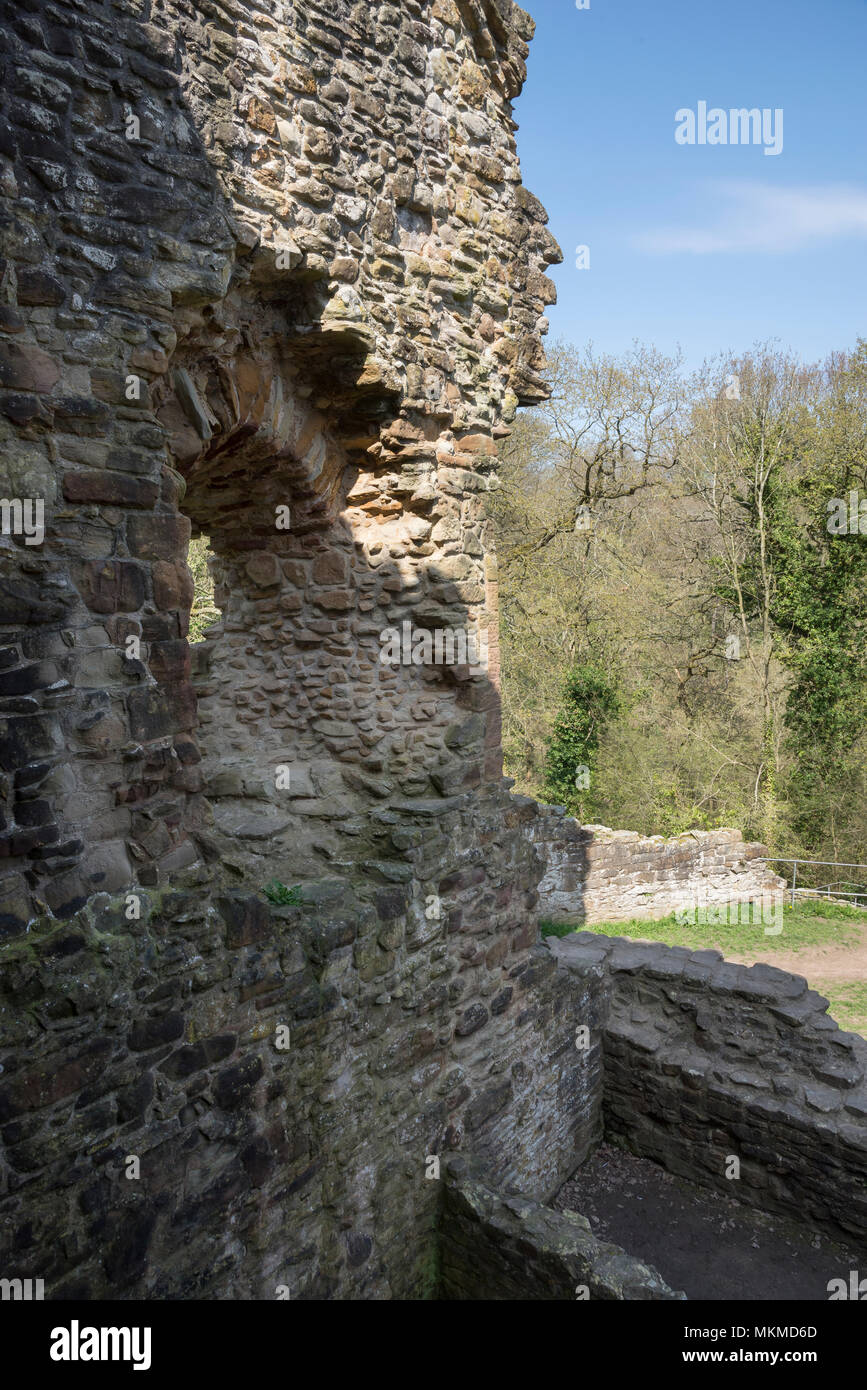 Ruins of Ewloe castle in North Wales. 13th century native Welsh castle ...