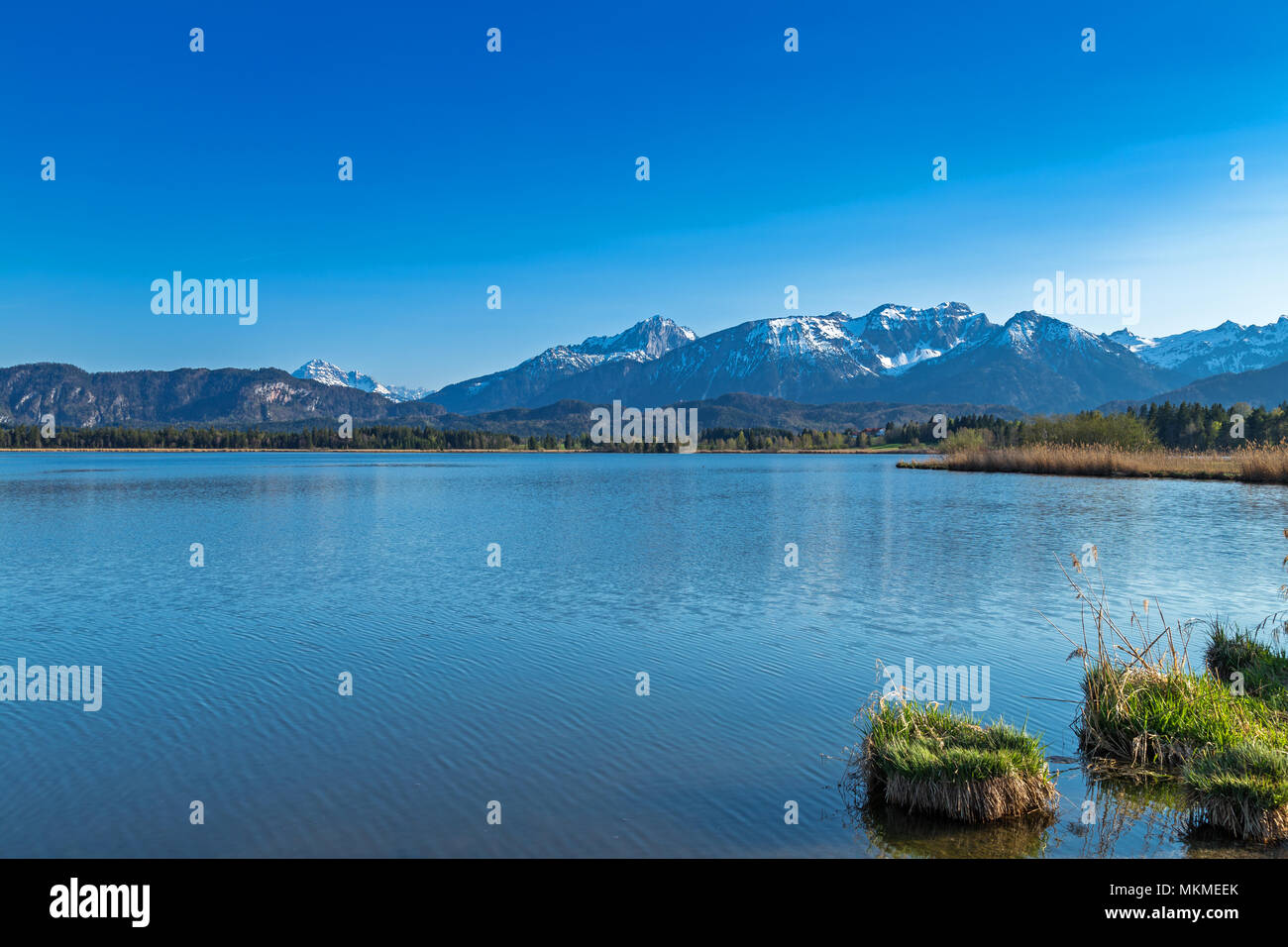 Lake Hopfensee near Fuessen, Bavaria, Germany Stock Photo - Alamy