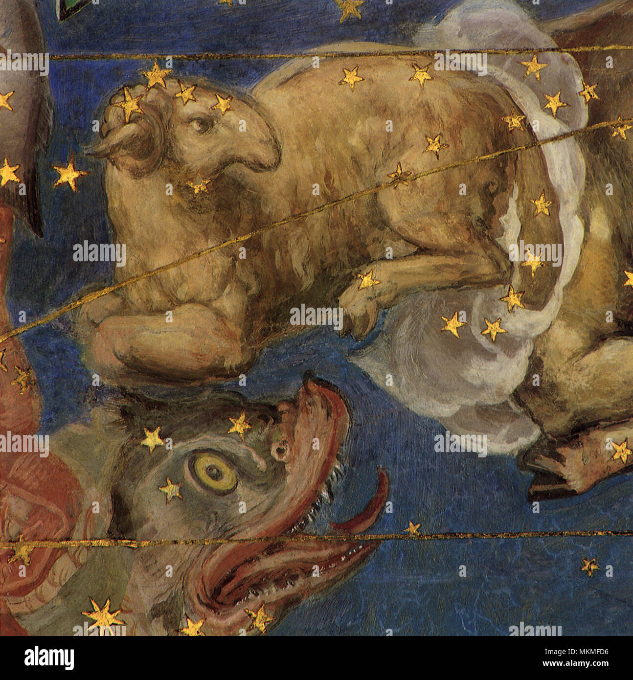 Aries ram hi-res stock photography and images - Alamy