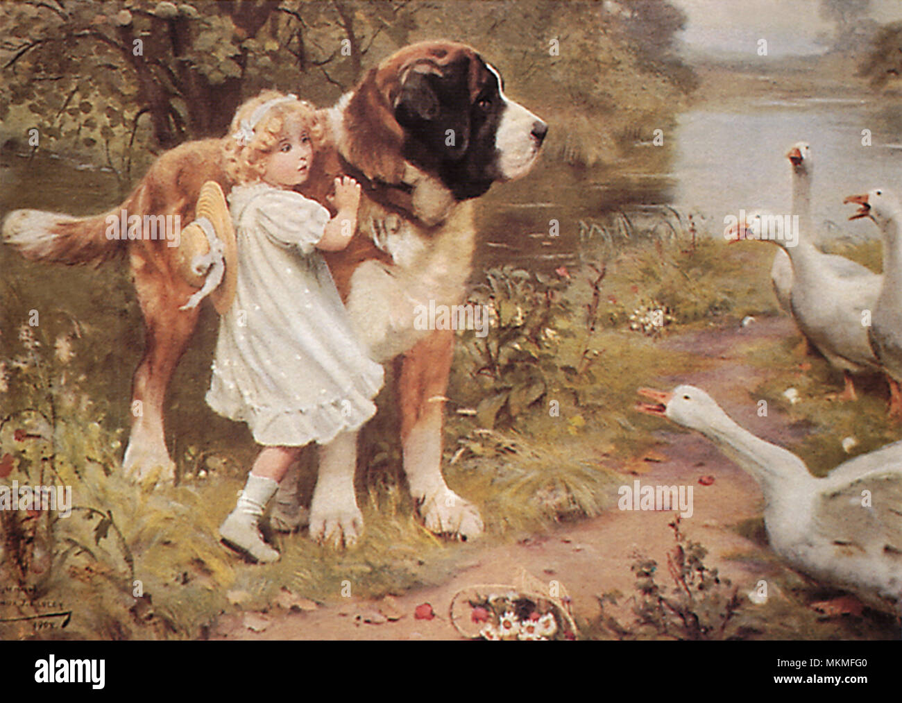 Snapping geese hi-res stock photography and images - Alamy