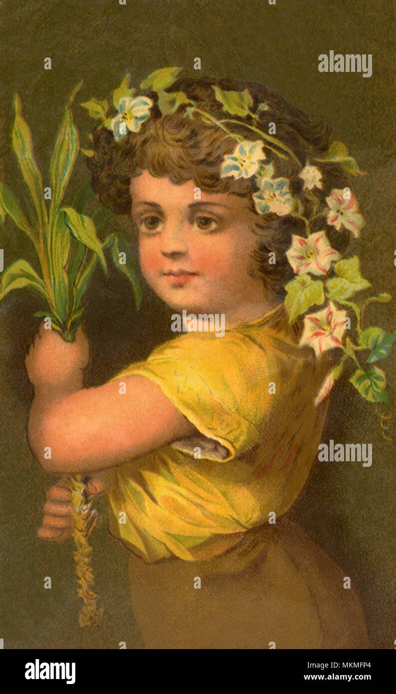 Crown of glory hi-res stock photography and images - Alamy