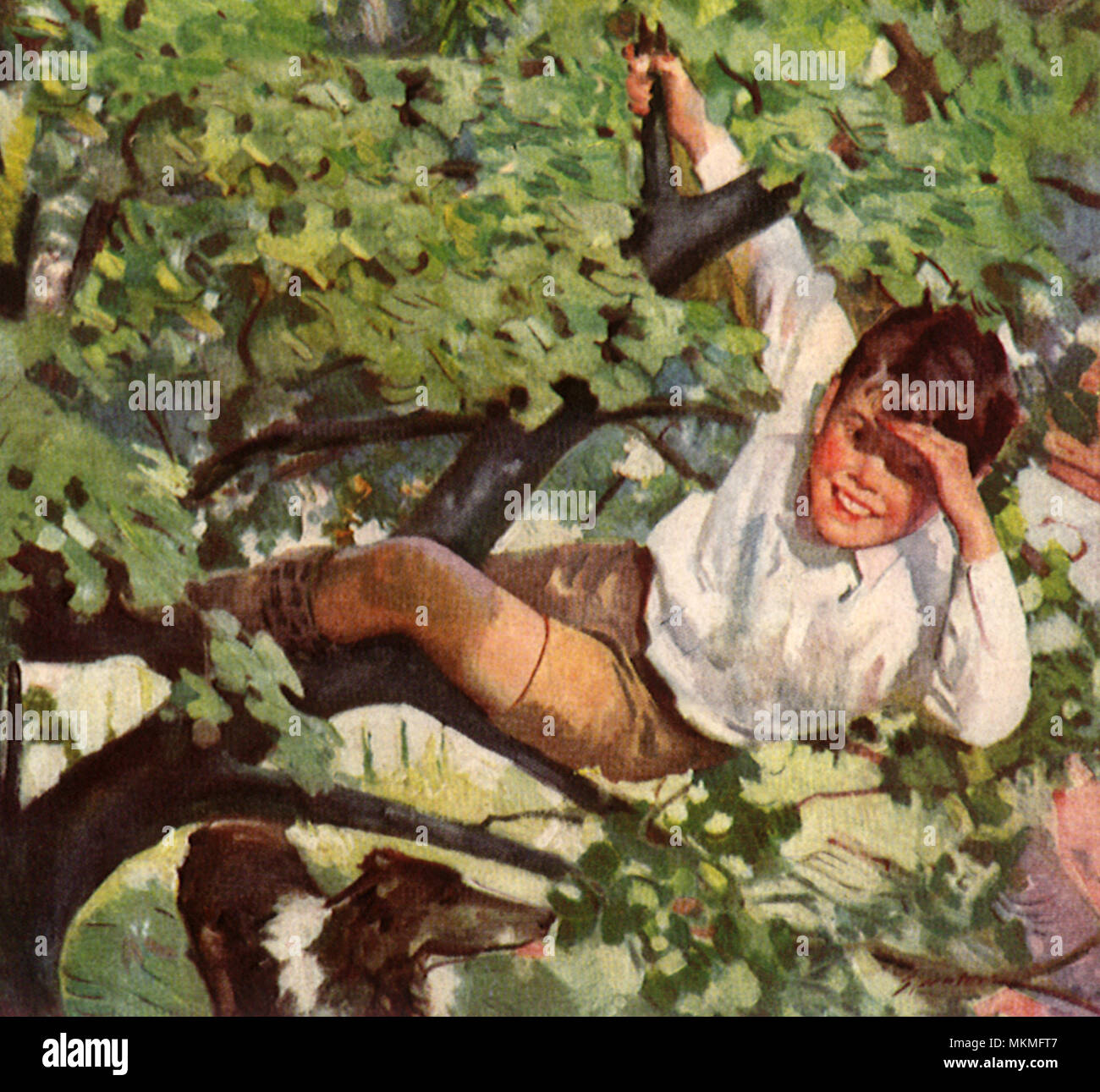 Boy in a Tree Stock Photo - Alamy