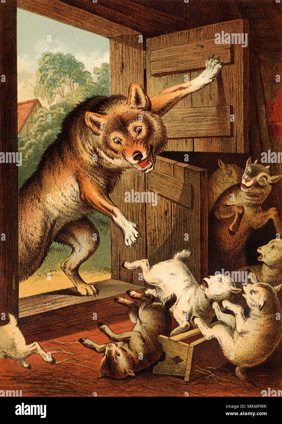 Wolf Corners Lambs Stock Photo - Alamy