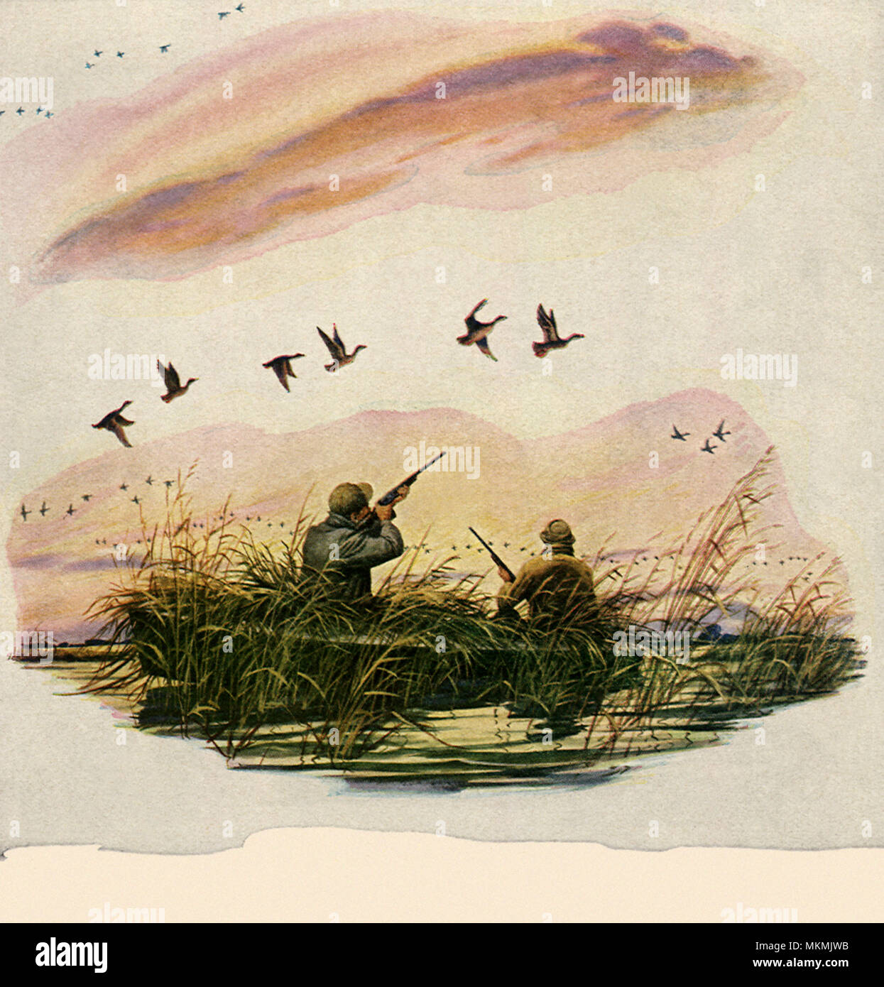 Game geese hi-res stock photography and images - Alamy