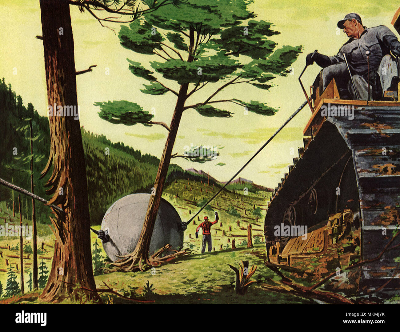 Bulldozing Trees with Ball Stock Photo - Alamy