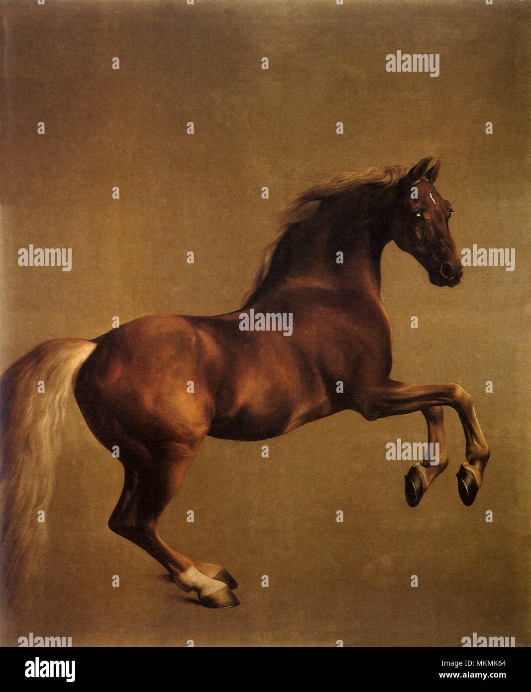 Whistlejacket hi-res stock photography and images - Alamy