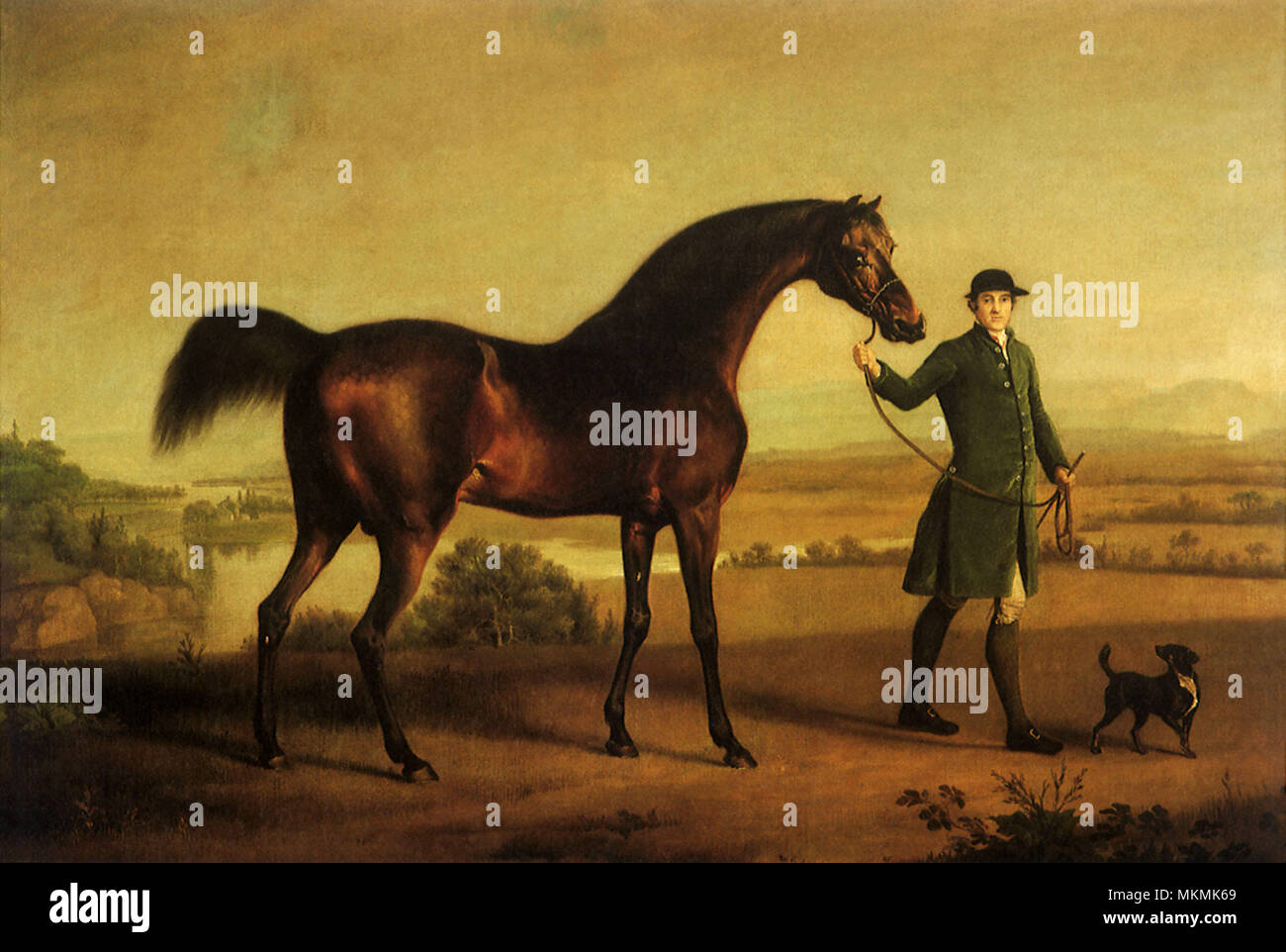 Bandy legs hi-res stock photography and images - Alamy