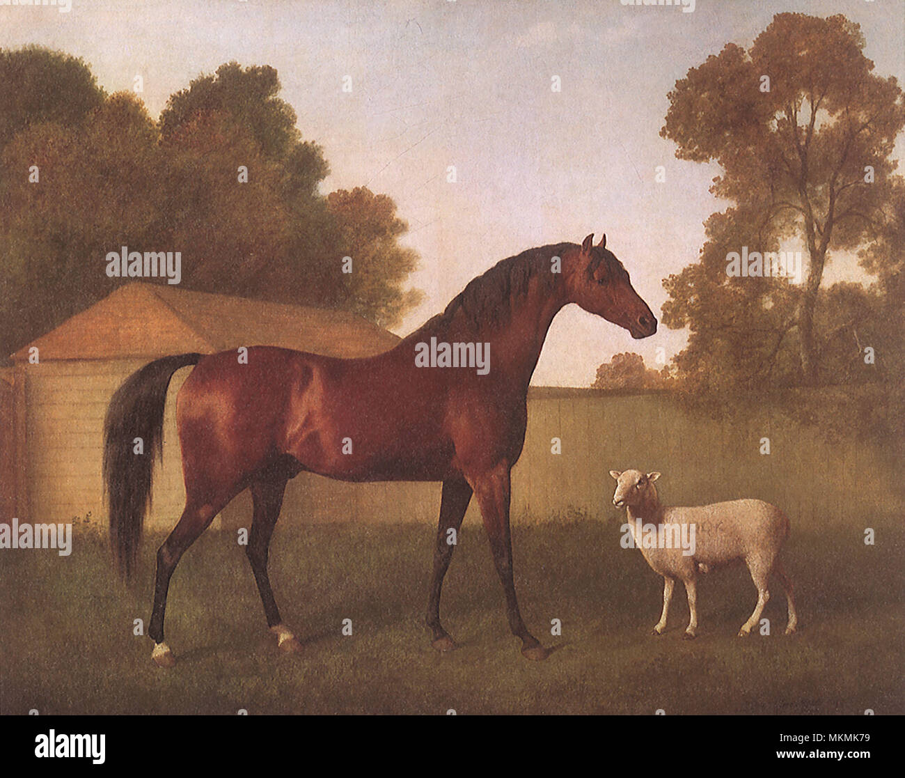 Dungannon hi-res stock photography and images - Alamy